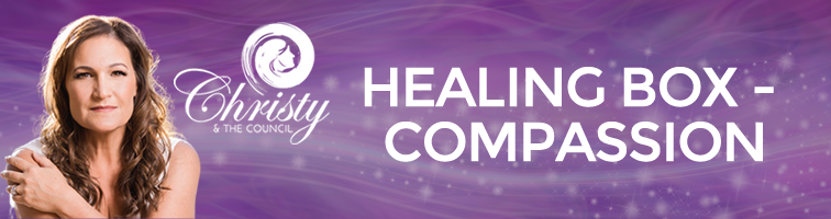 Compassion Box - Christy Whitman