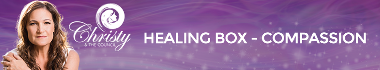Compassion Box - Christy Whitman